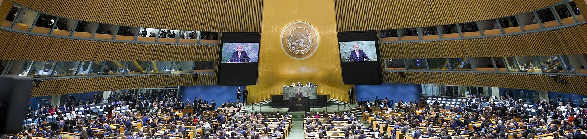 United Nations General Assembly
