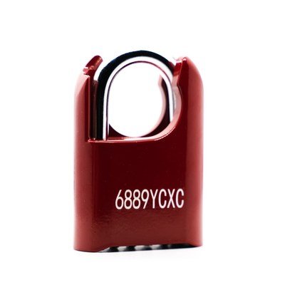 DaVinci Lock surpasses milestone of 500 self-storage companies on the ...