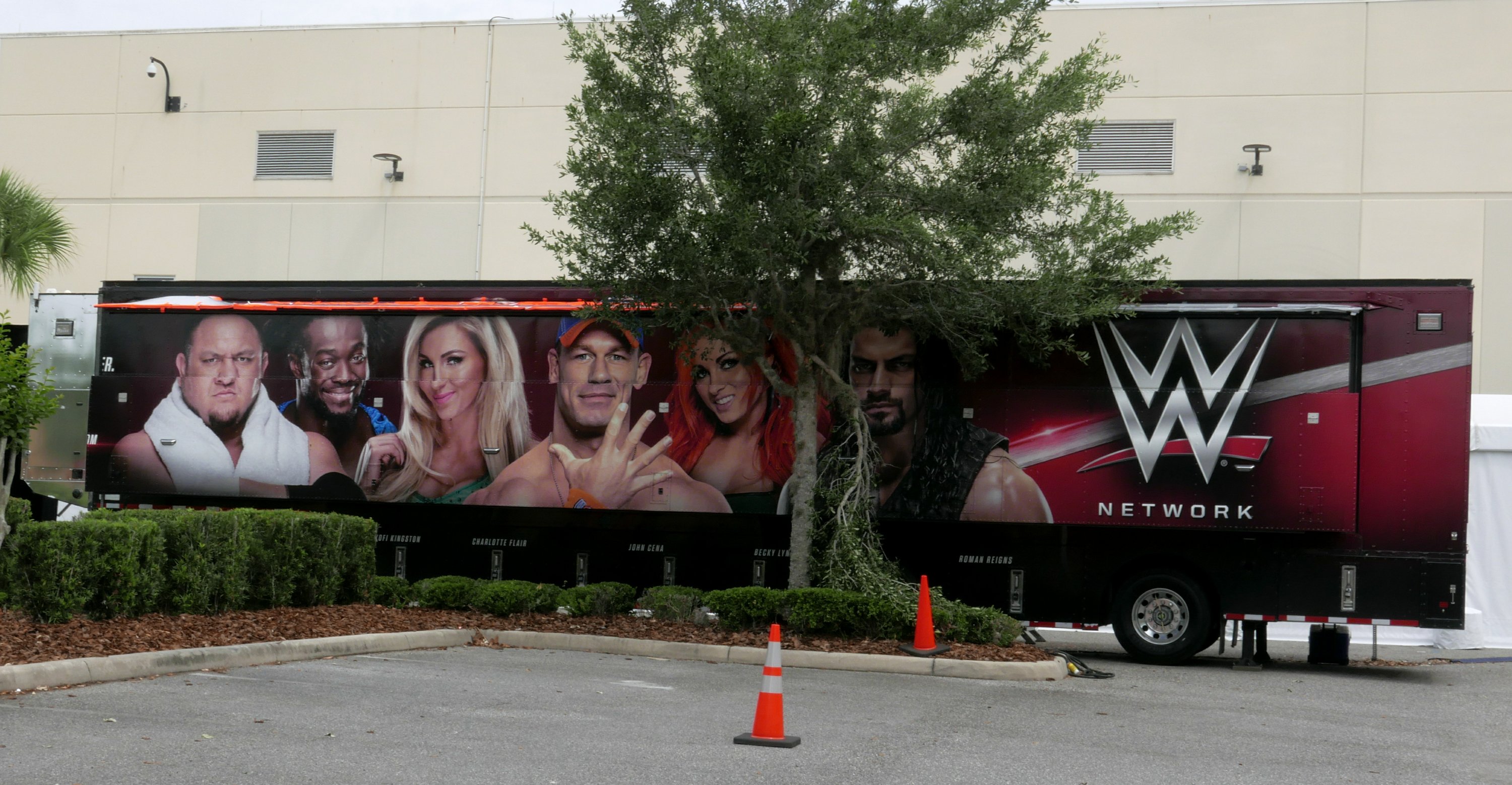 WWE cuts wrestlers after Florida deems it 'essential' | AP News
