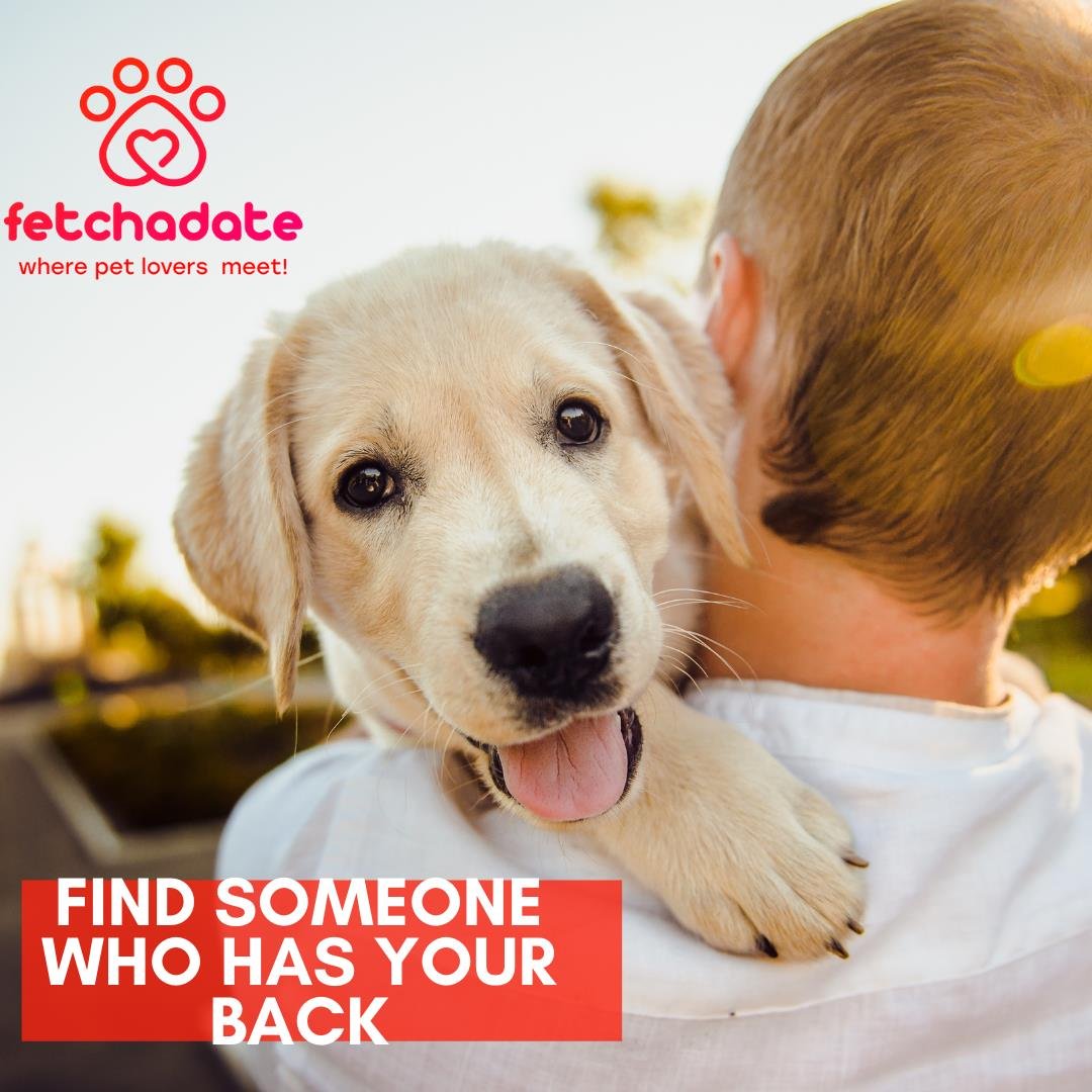 Use Your WingPet to Get Dates Online: FetchaDate - Where Pet Lovers ...