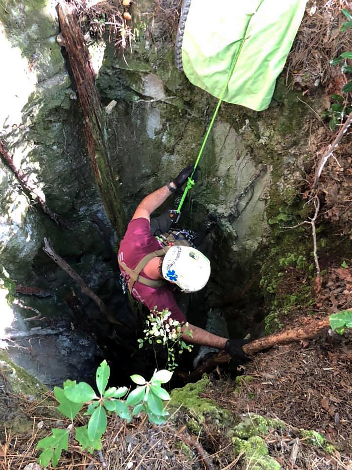 Dog trapped in 30-foot hole lured to safety with beef jerky | AP News