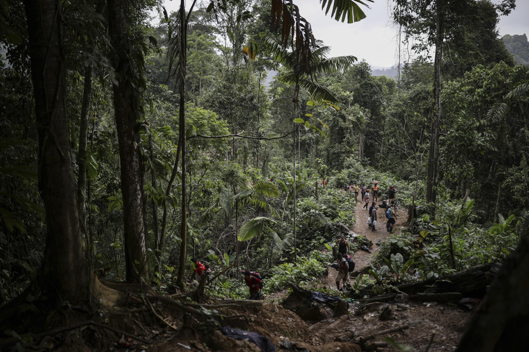 Migrants crossing dense Darien jungle at Colombia-Panama border find ...