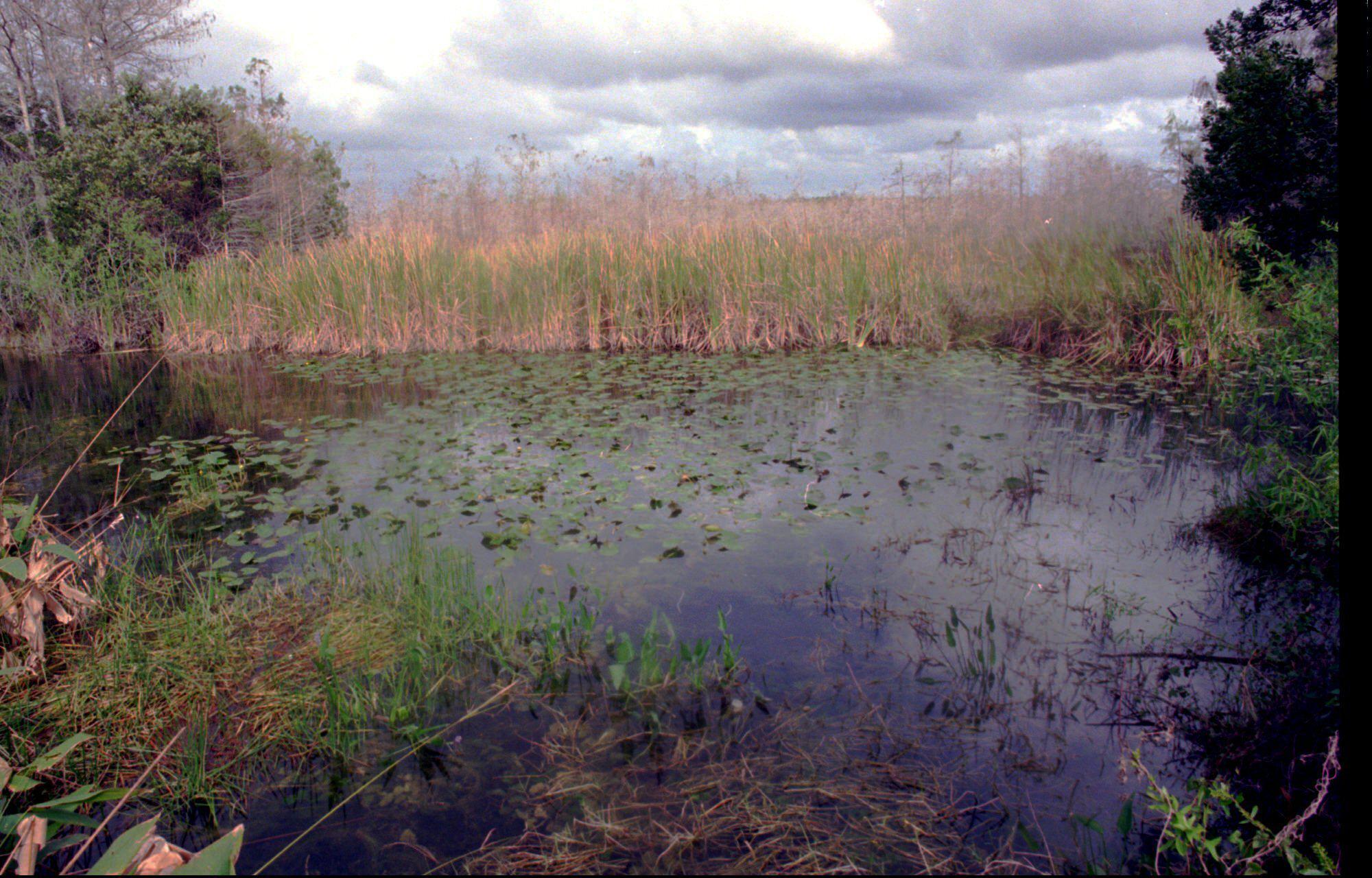 Army Corps completes reservoir for Everglades restoration | AP News