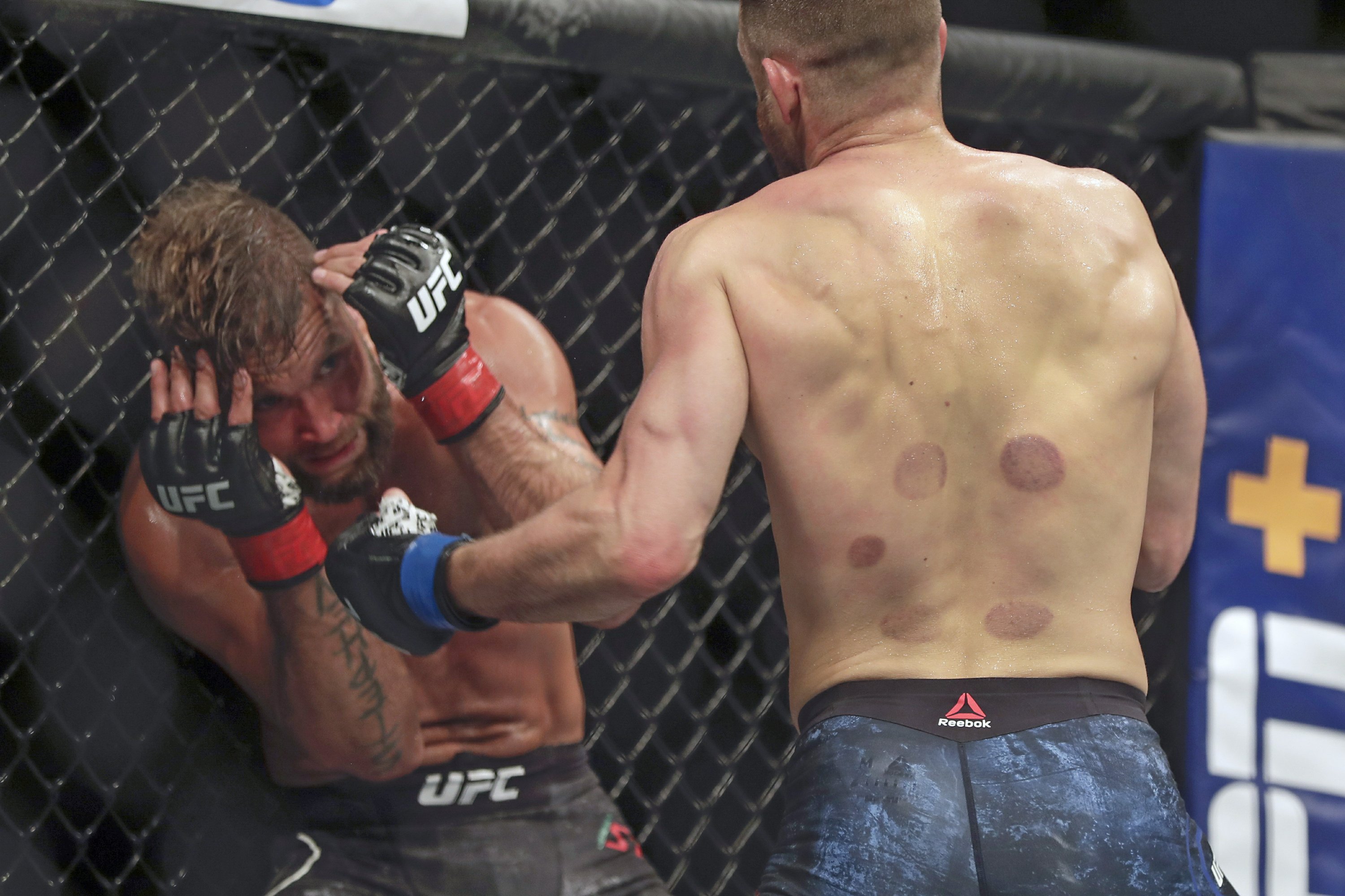 UFC's return could provide blueprint for other pro leagues | AP News