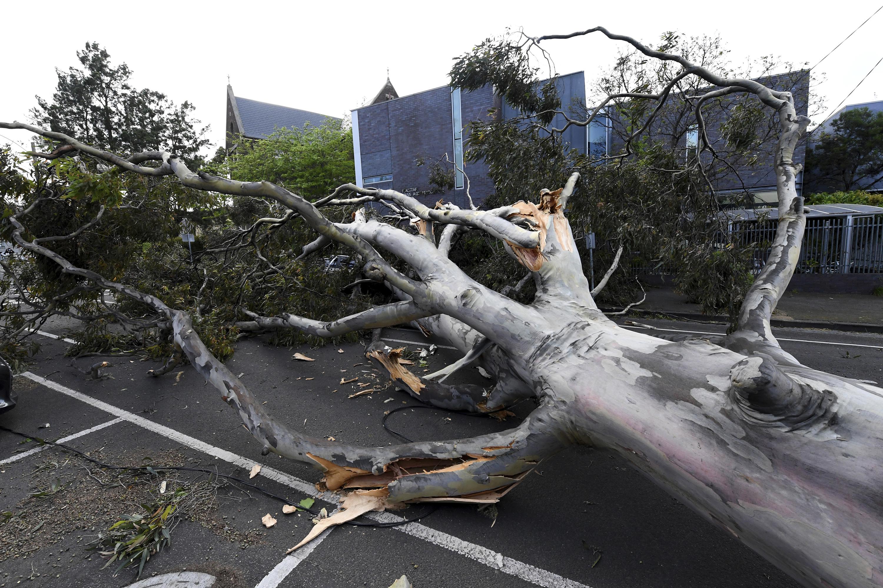Wild winds in Australia leave thousands without power | AP News