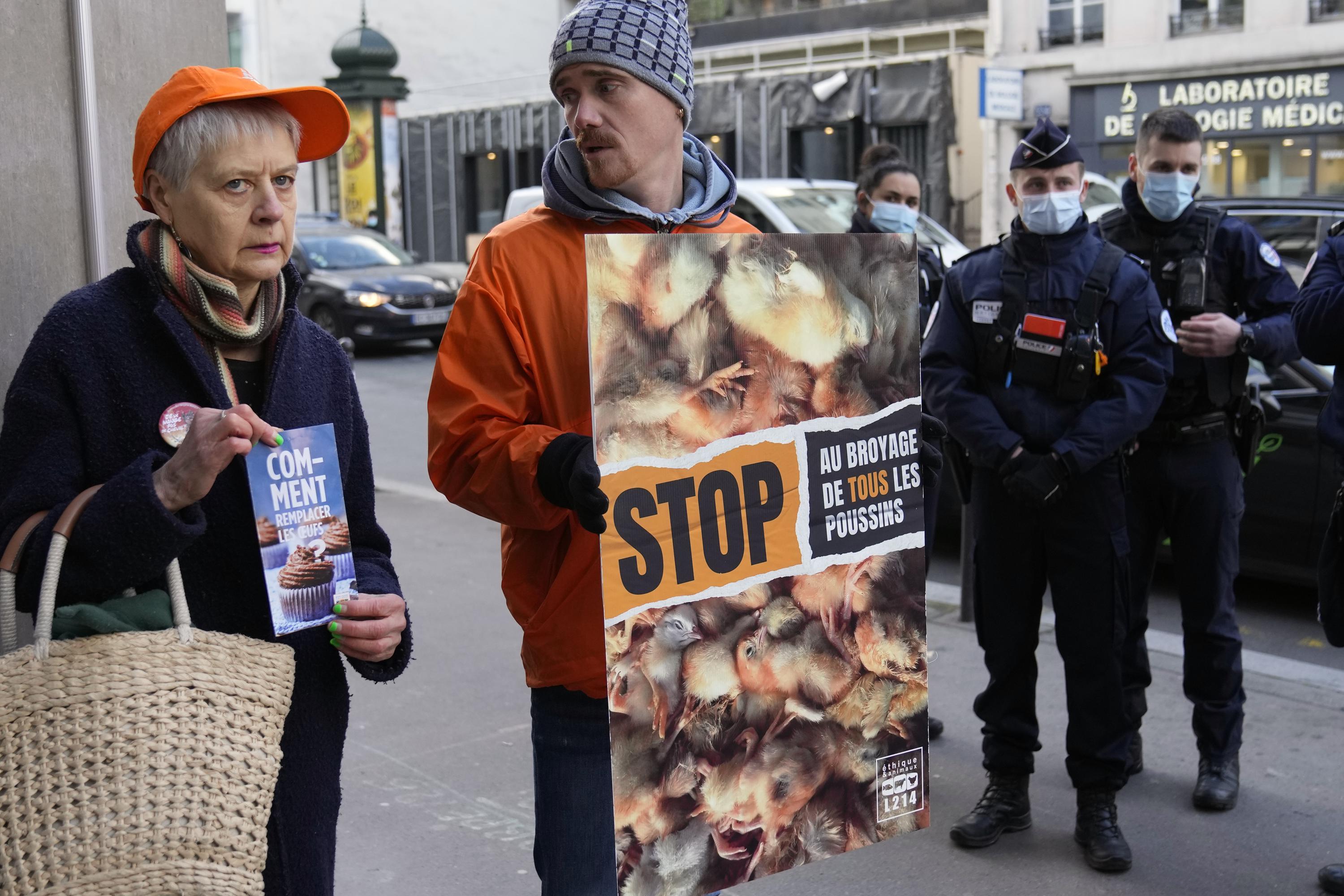 French activists protest against killing of male chicks | AP News
