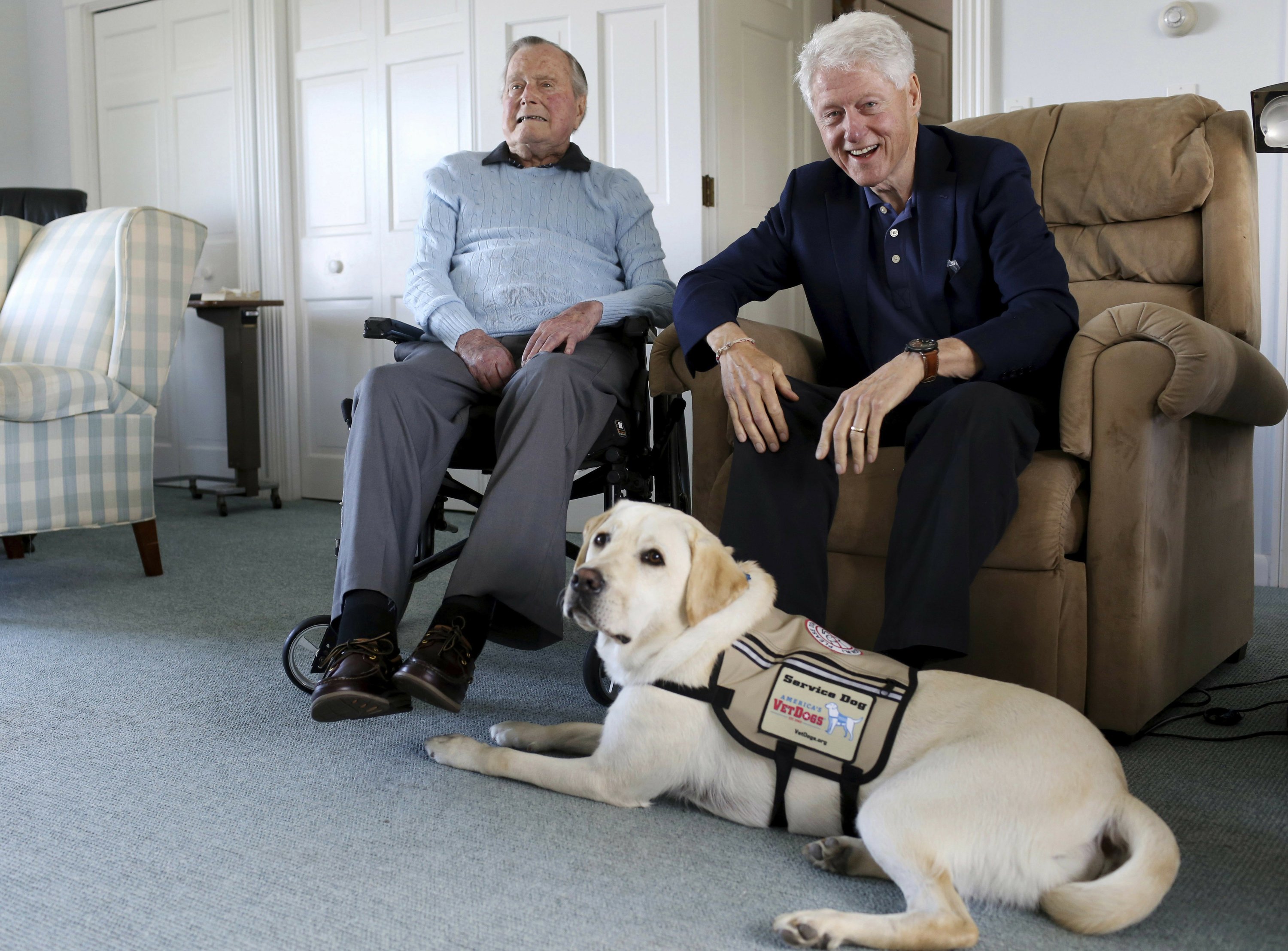 Former President Bush gets a service dog named 'Sully' | AP News