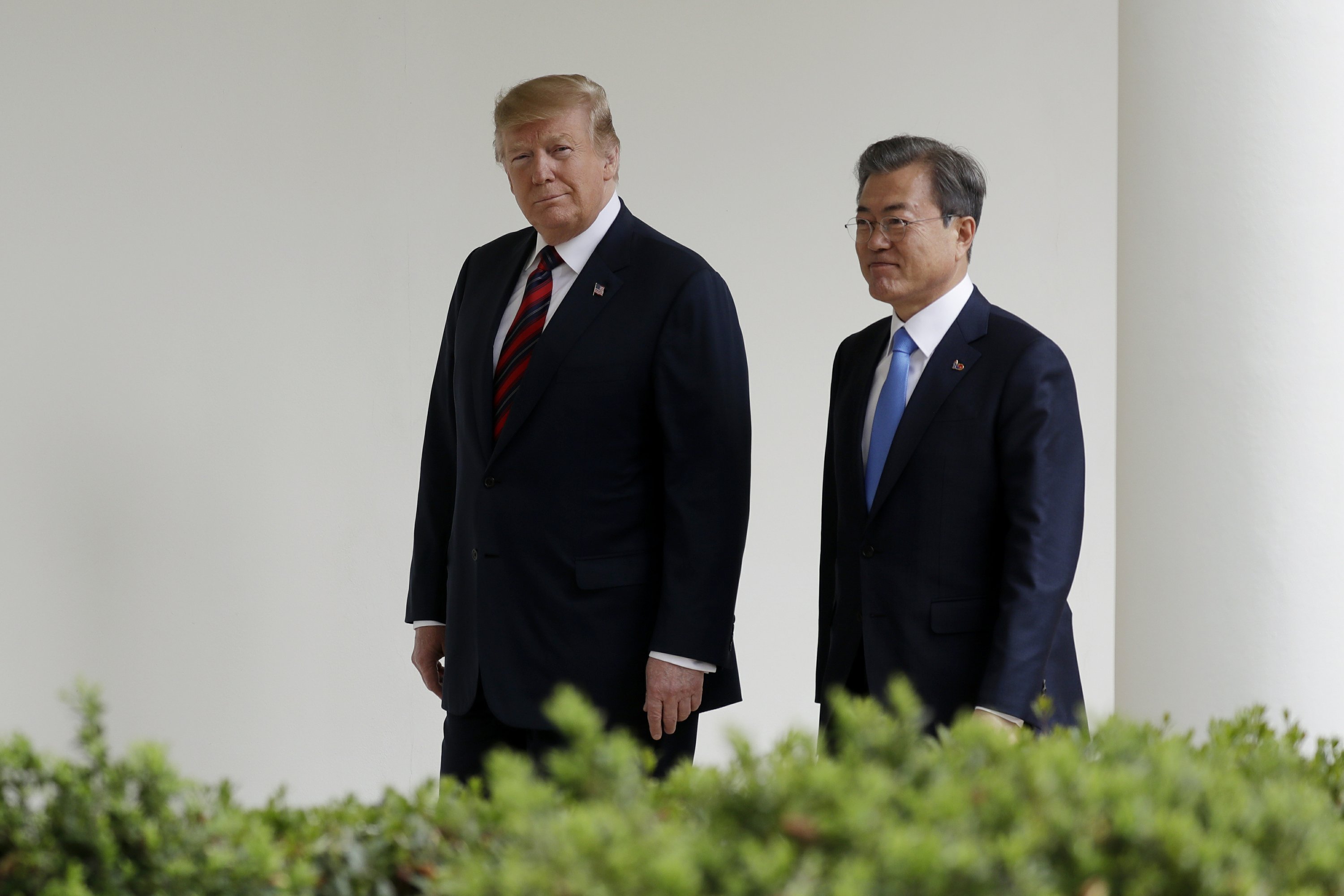 Trump dice “no sé nada” sobre WikiLeaks pese a elogiarlo | AP News