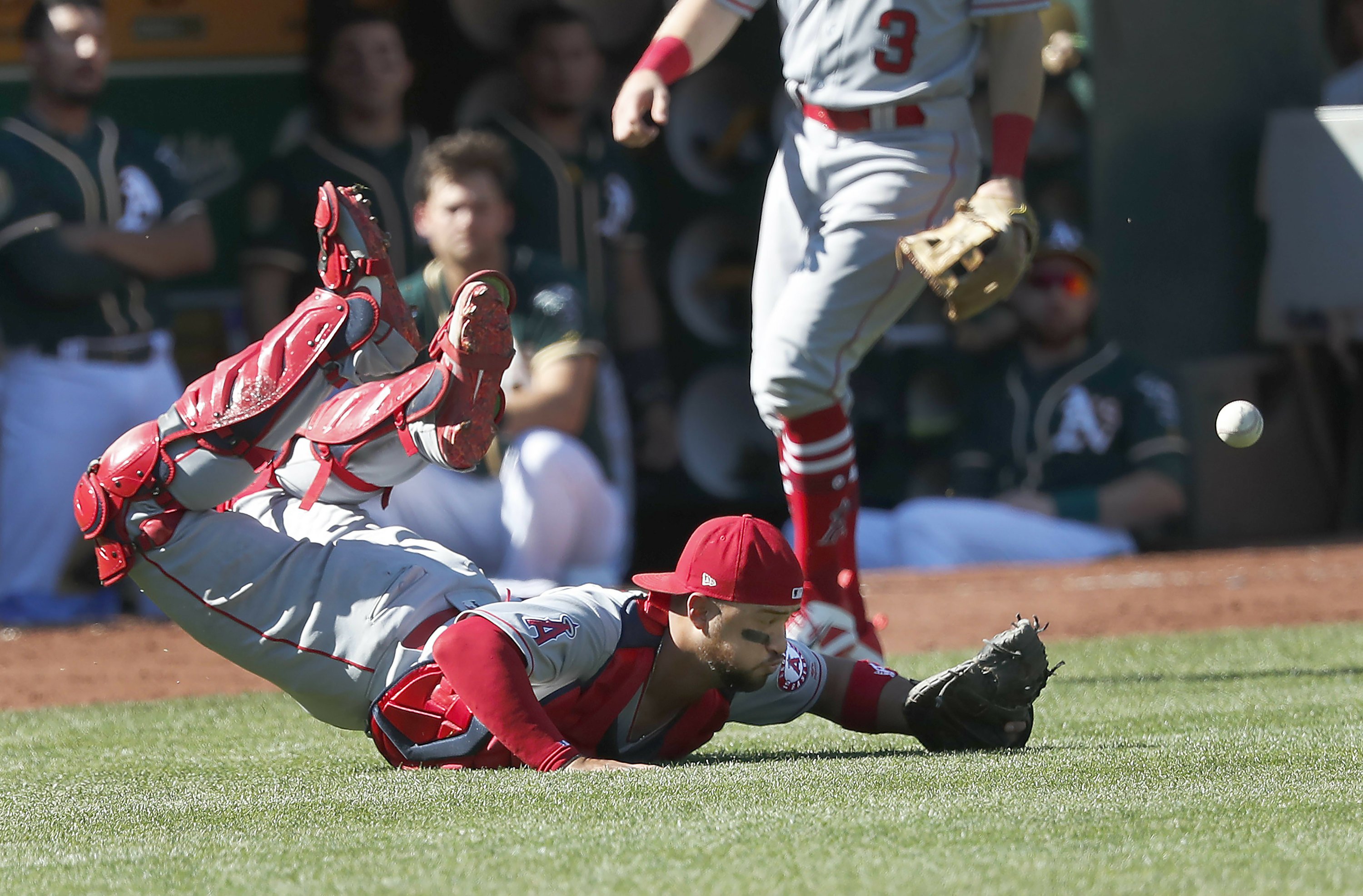 Busy day lands Angels' Arcia in baseball record books | AP News