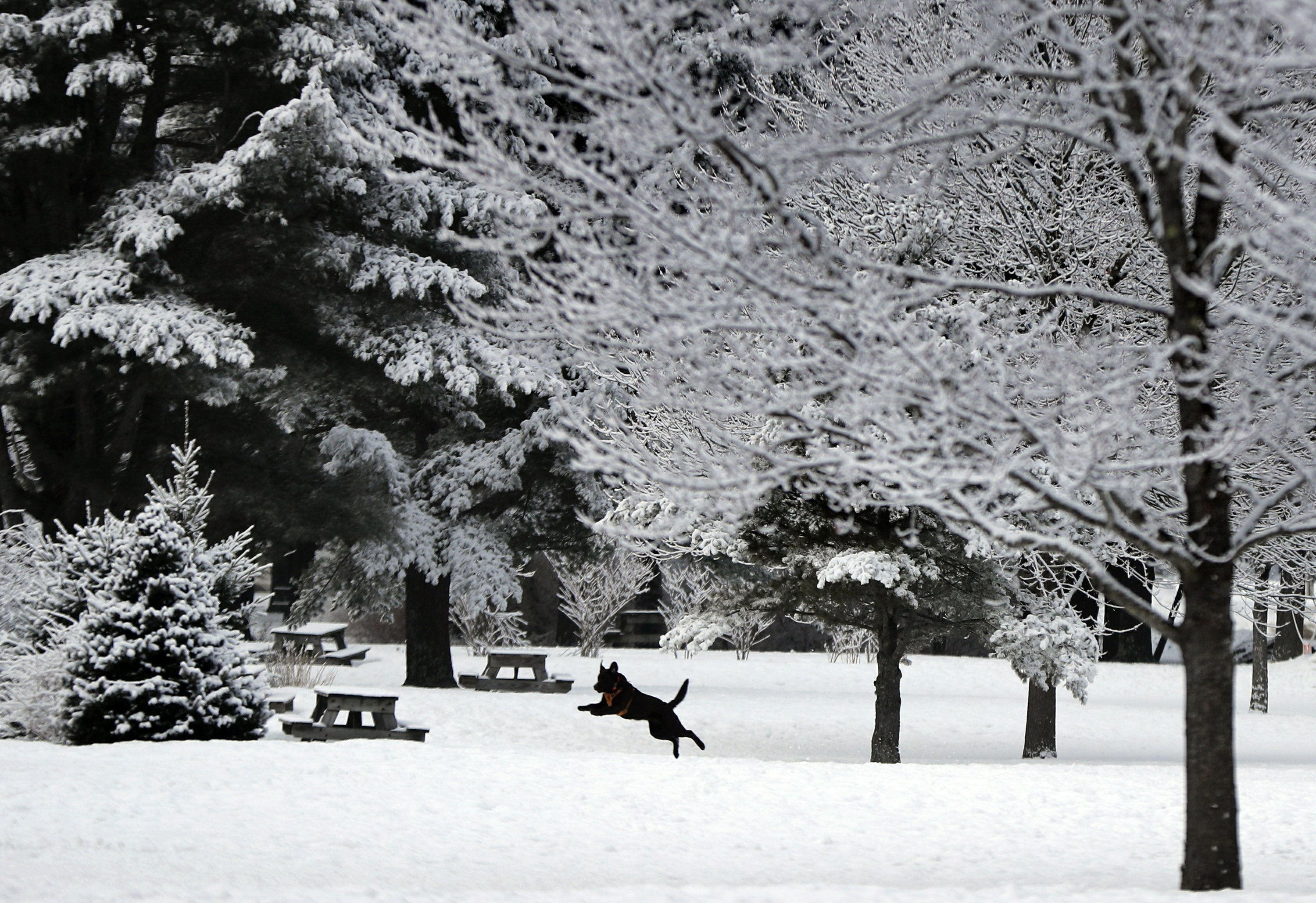 AP PHOTOS: A selection of pictures from the past week | AP News