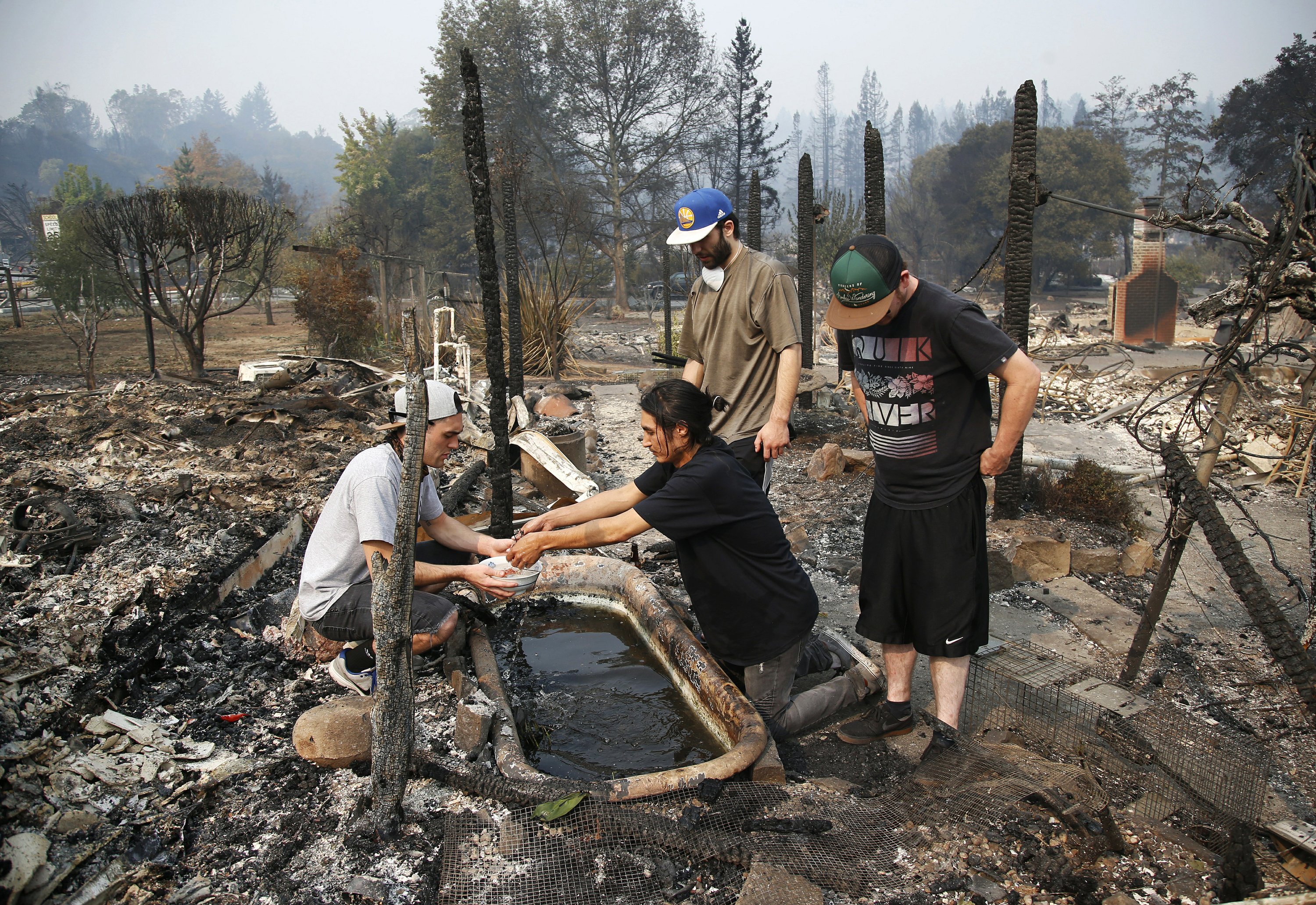'Something did survive' California wildfires: Goldfish | AP News
