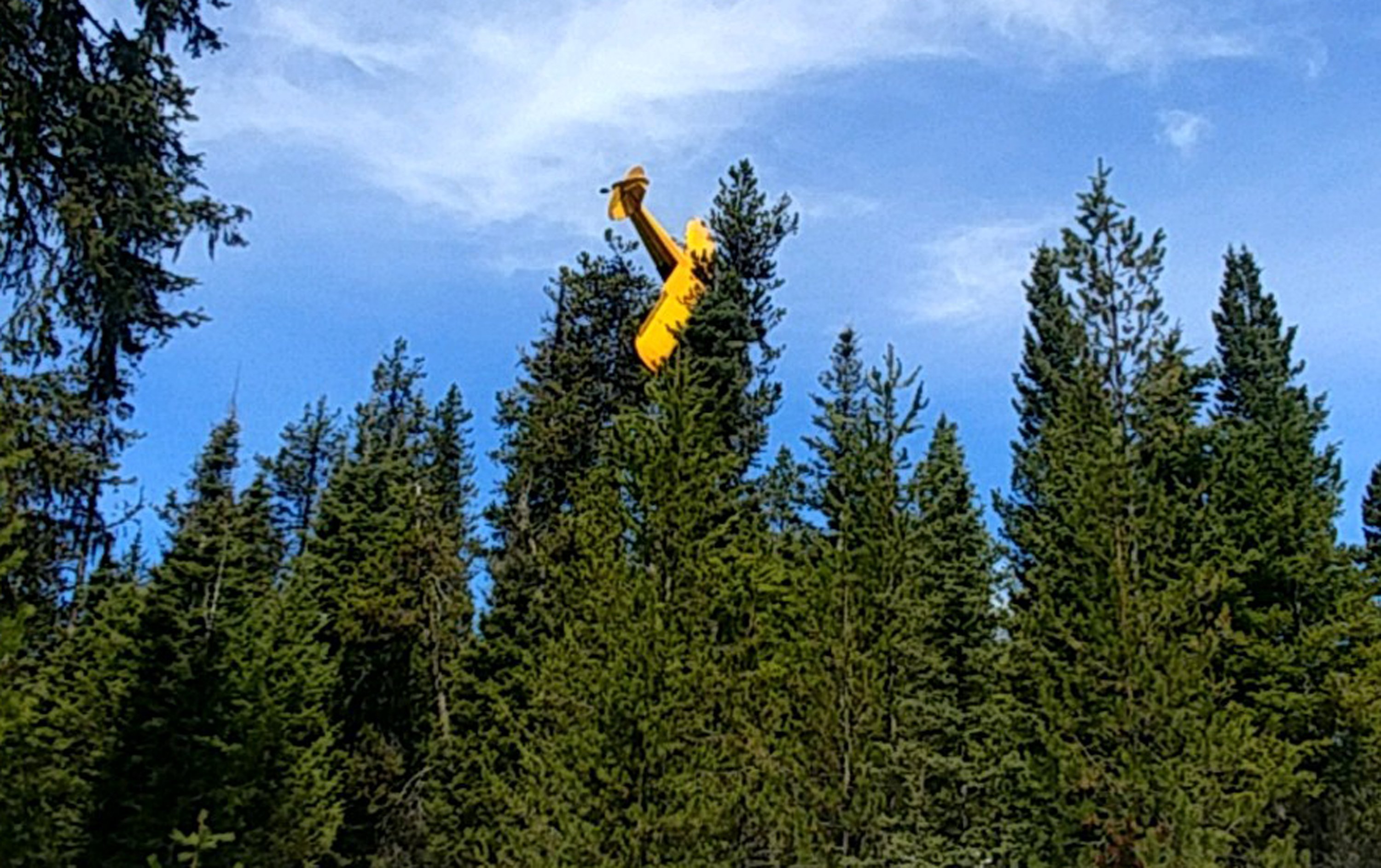 Pilot rescued from plane that crash-landed atop Idaho tree | AP News