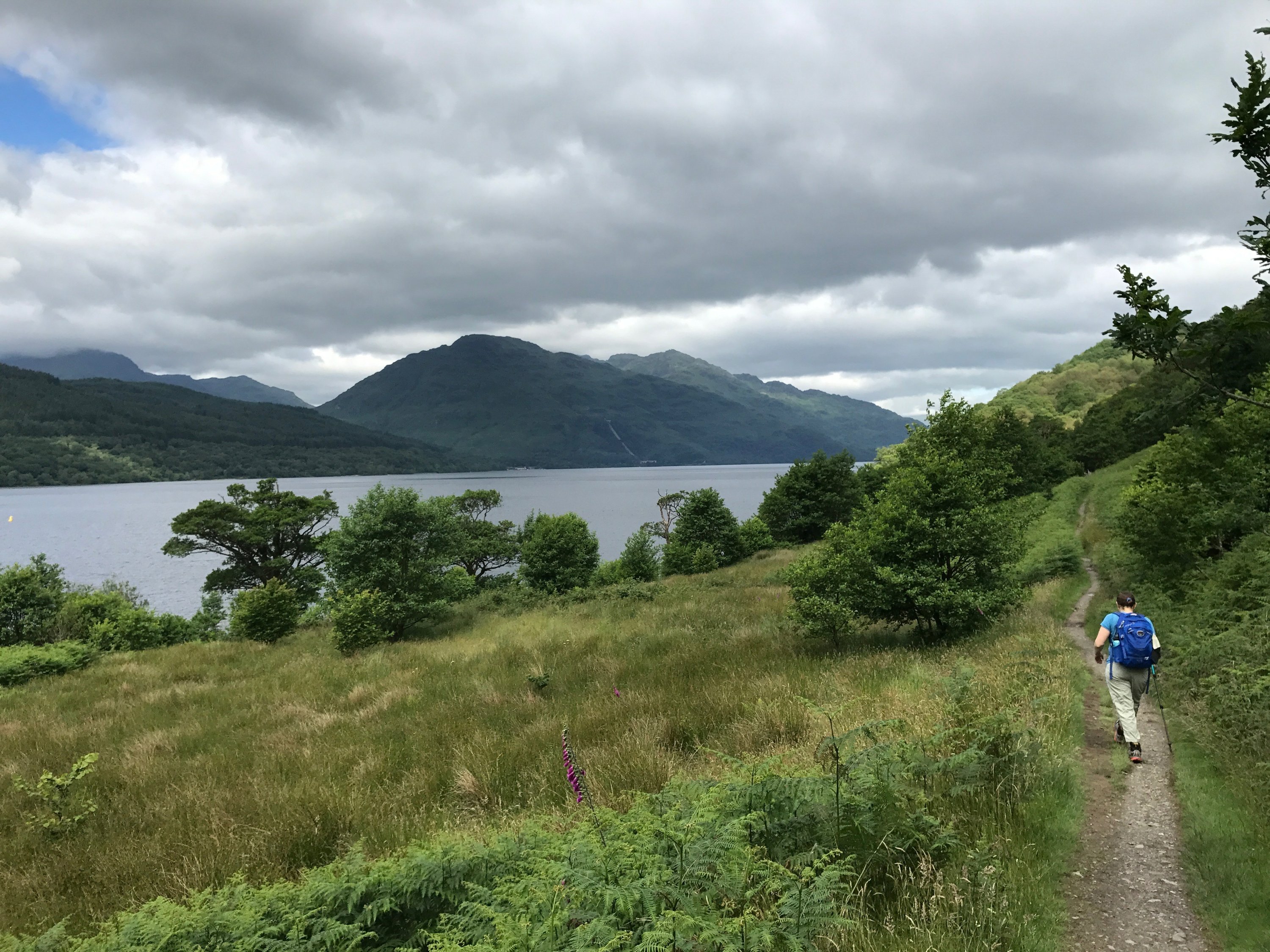 Forests, moors, peat bogs: A week of walking in Scotland | AP News