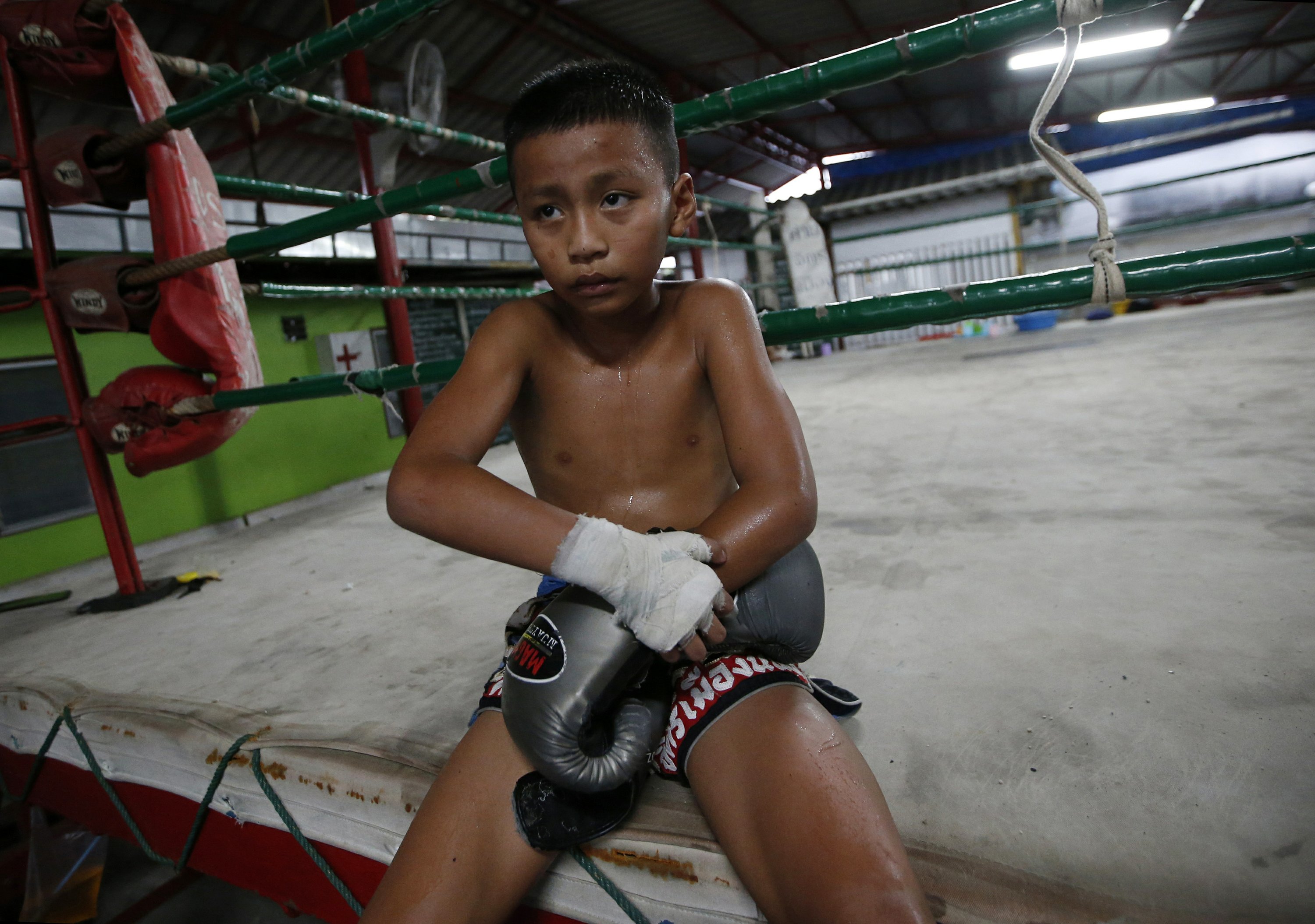 How Are Boxers With Children