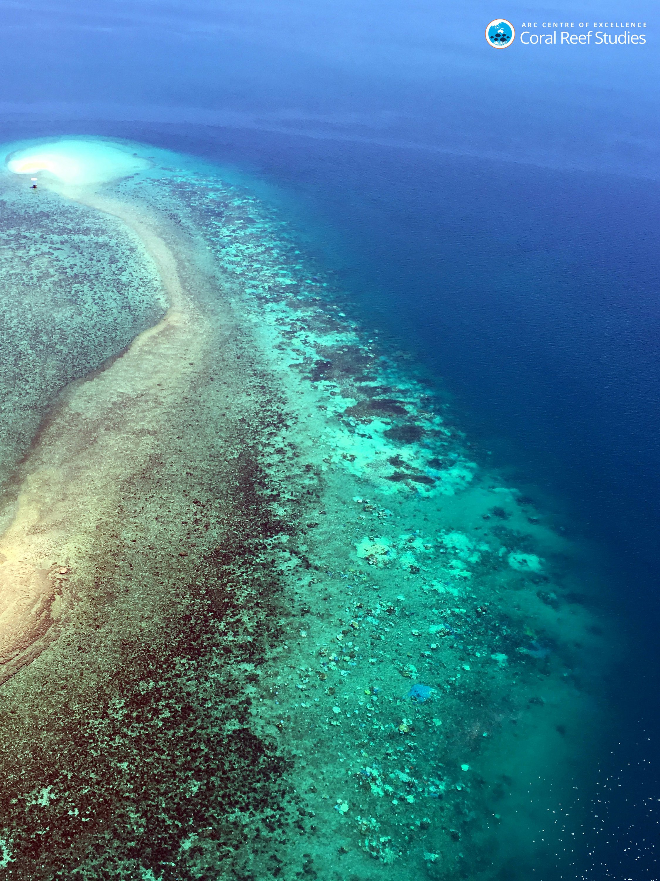 Study: Stopping global warming only way to save coral reefs | AP News