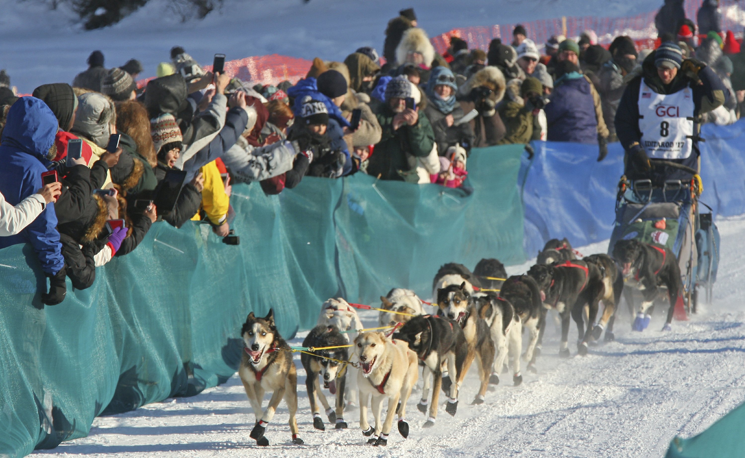 Howls, high-fives mark start of Iditarod race across Alaska | AP News