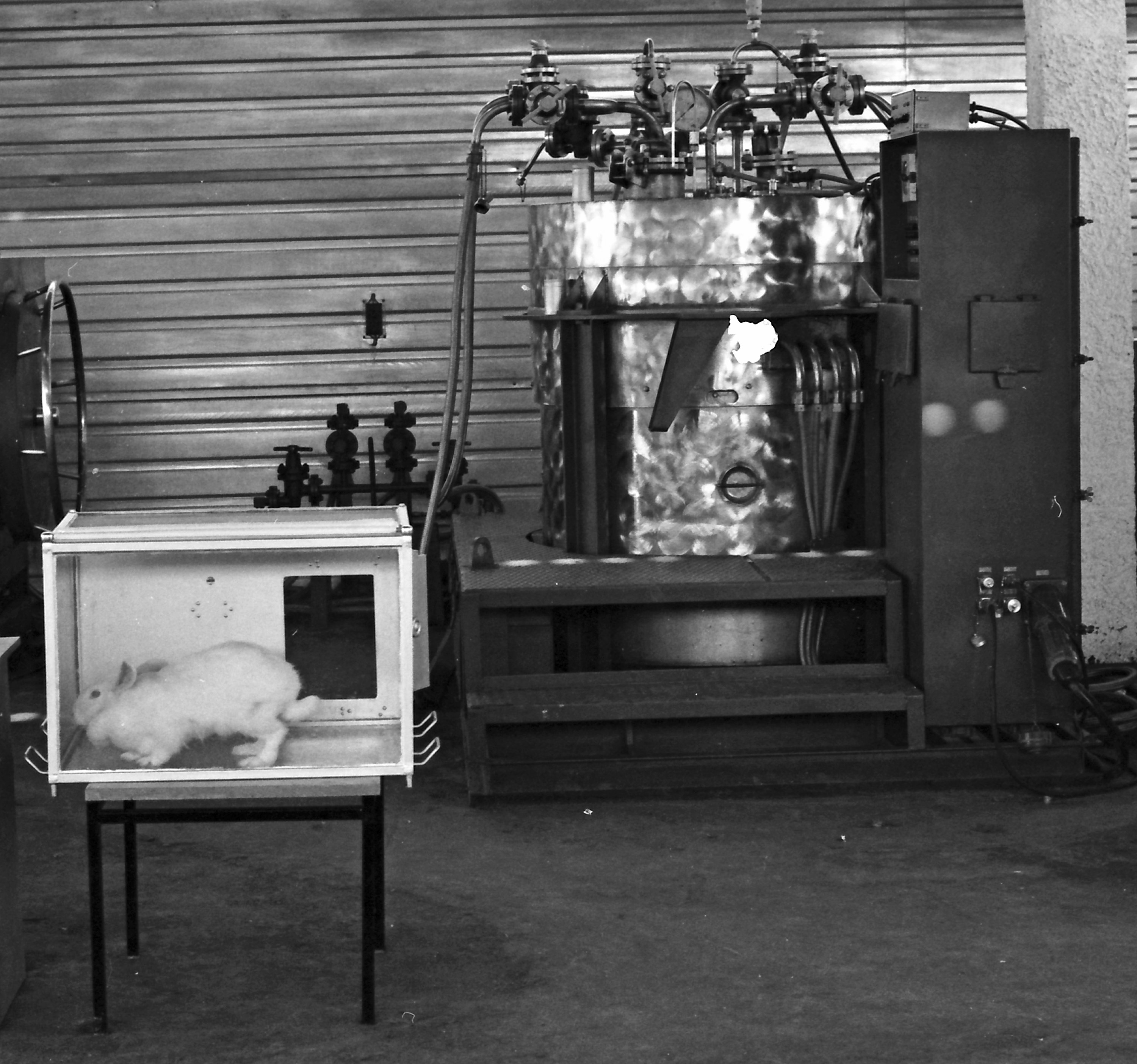 A Cold War poison resurfaces in a quiet English town | AP News