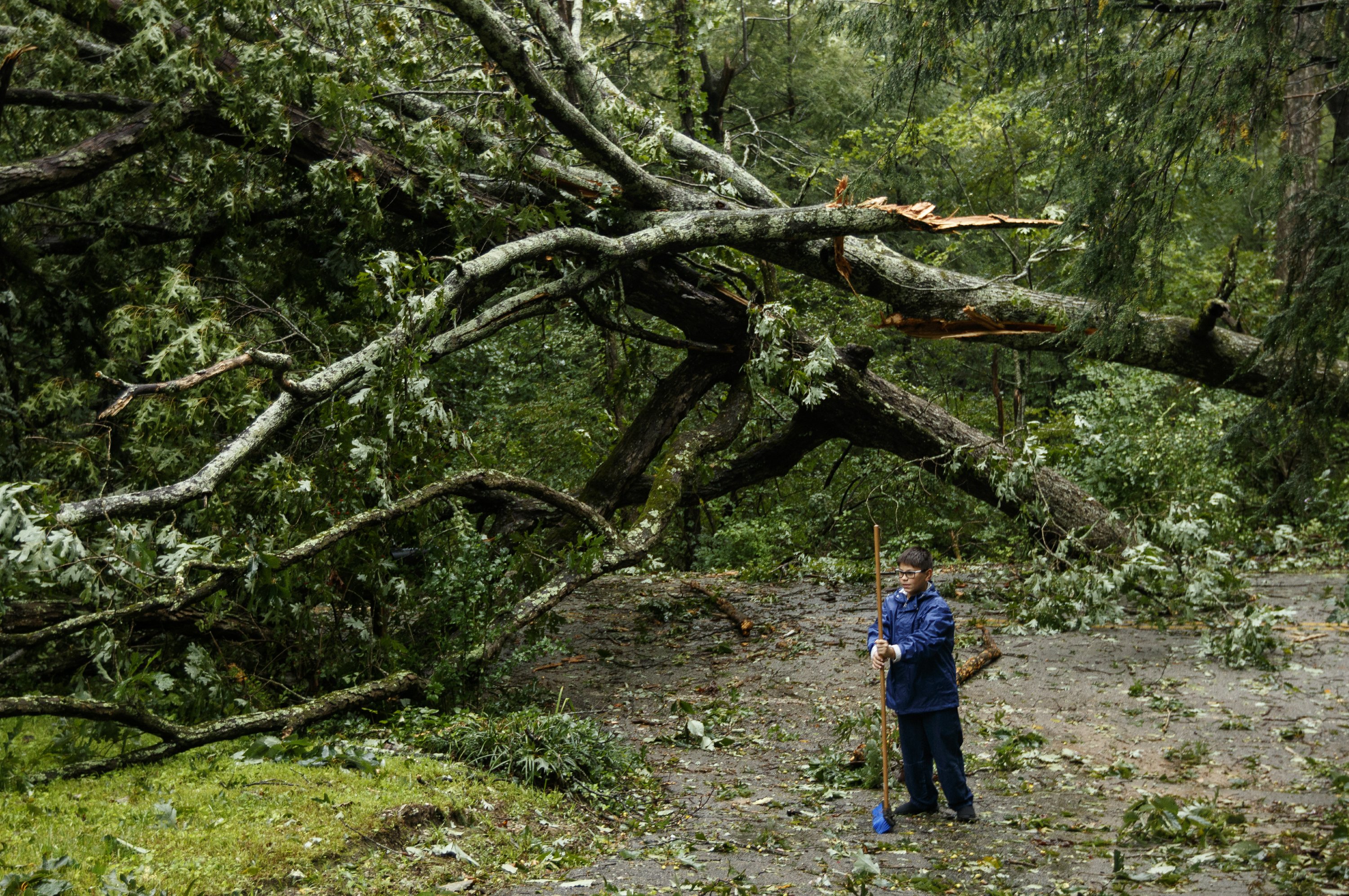 Back-to-back storms in Georgia mean doing repairs all over | AP News