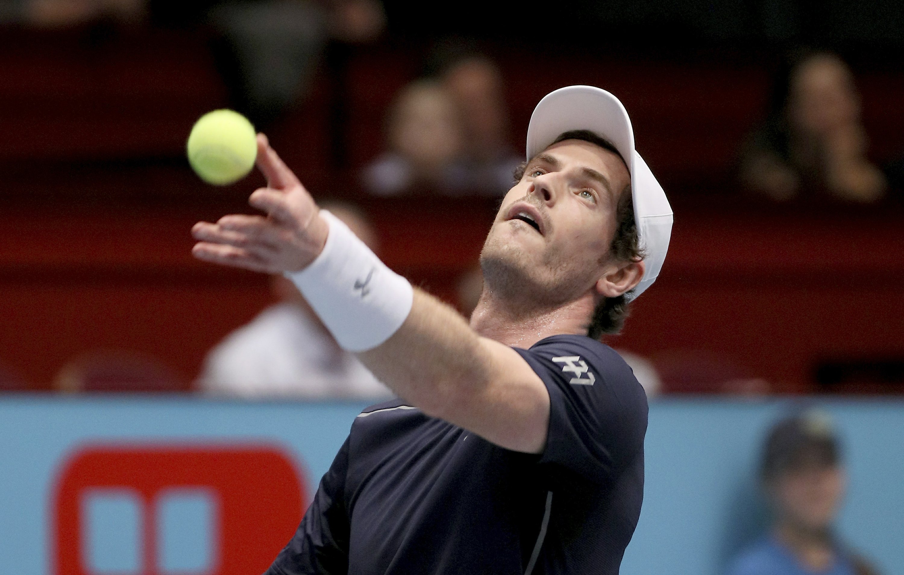 Murray beats Isner to set up Ferrer semifinal in Vienna | AP News