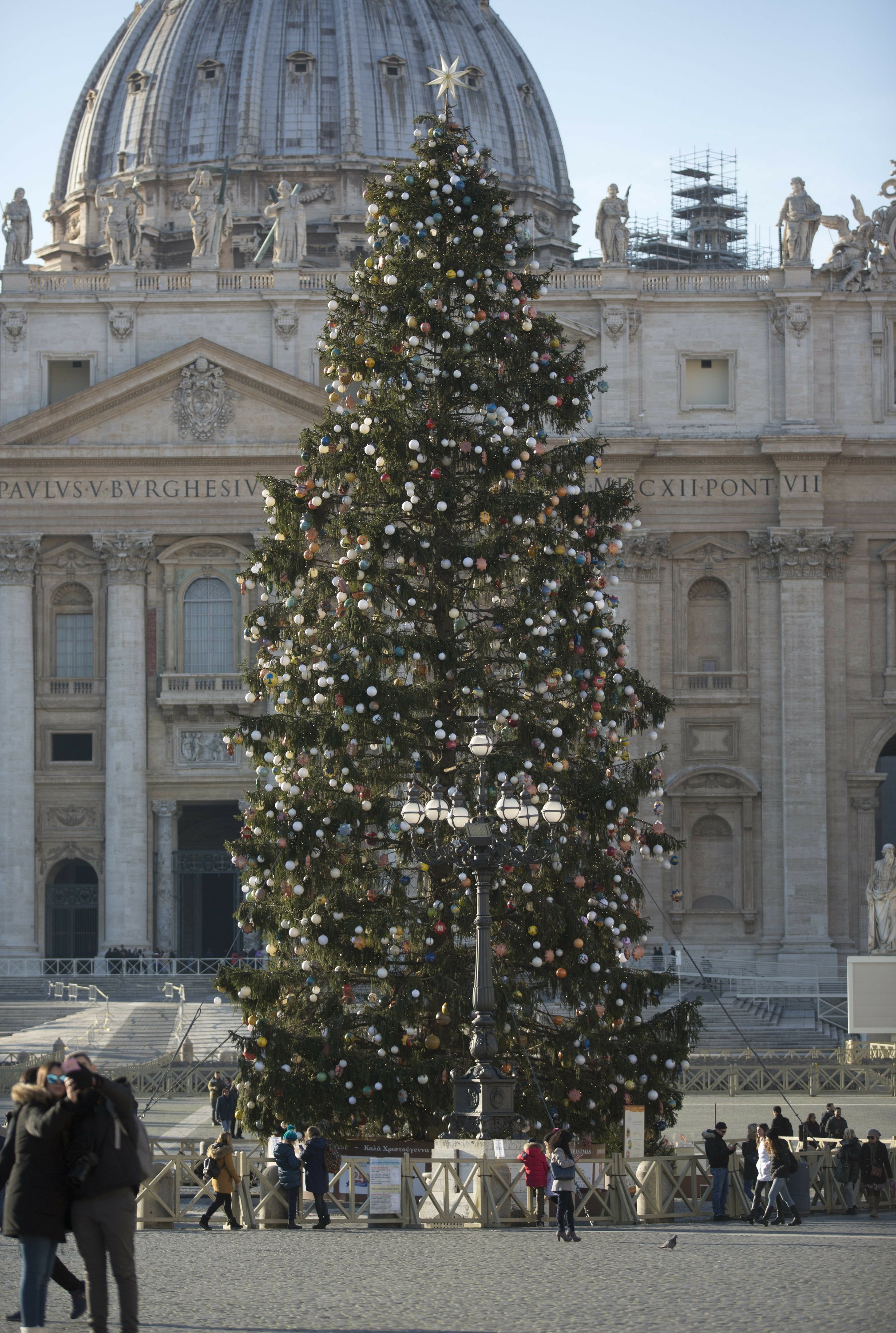 Rome's Christmas tree 'Mangy' needled for heavy shedding | AP News