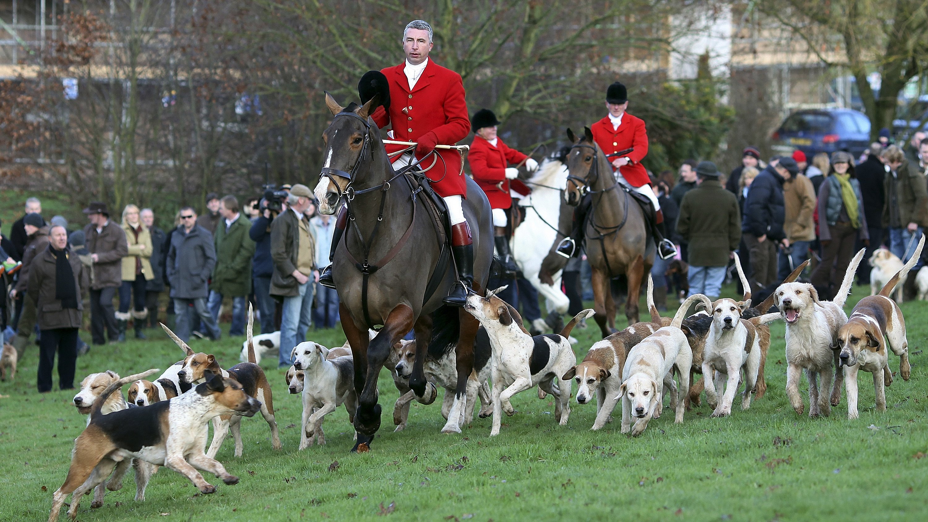 UK police check reports of illegal post-Christmas fox hunts | AP News