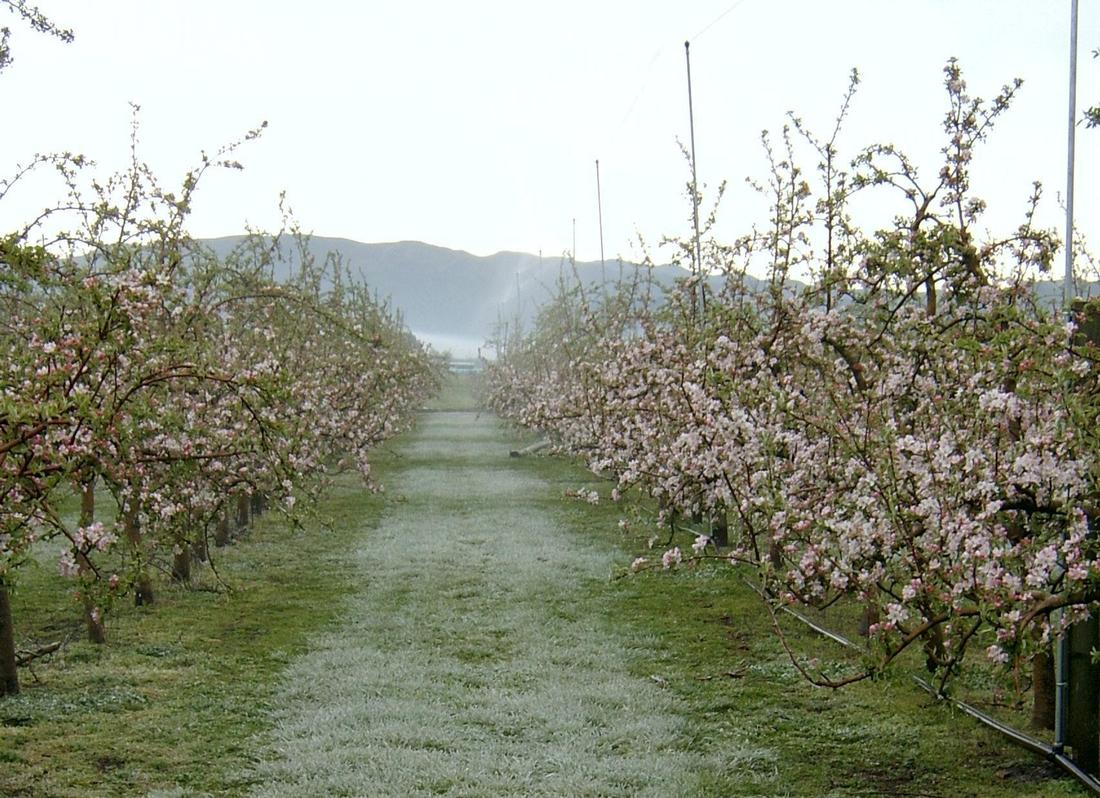 Horticulture – AgFirst Engineering