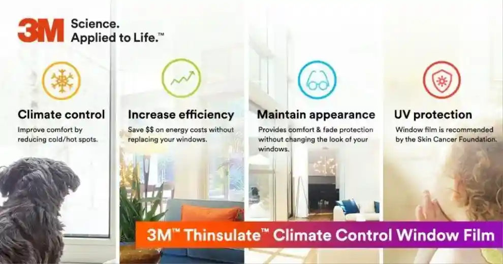 Maximize Comfort and Savings: A Guide to Improving Window Performance ...