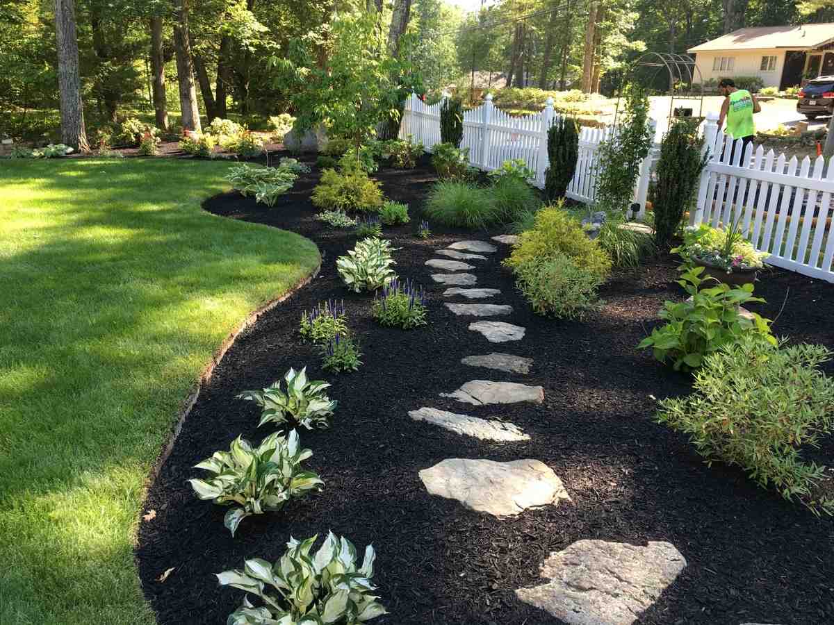 Moisture retaining mulch: 7 Powerful Benefits for Healthy Gardens 2025