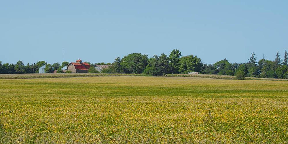 Conservation Stewardship Program: Grasslands Conservation Initiative ...