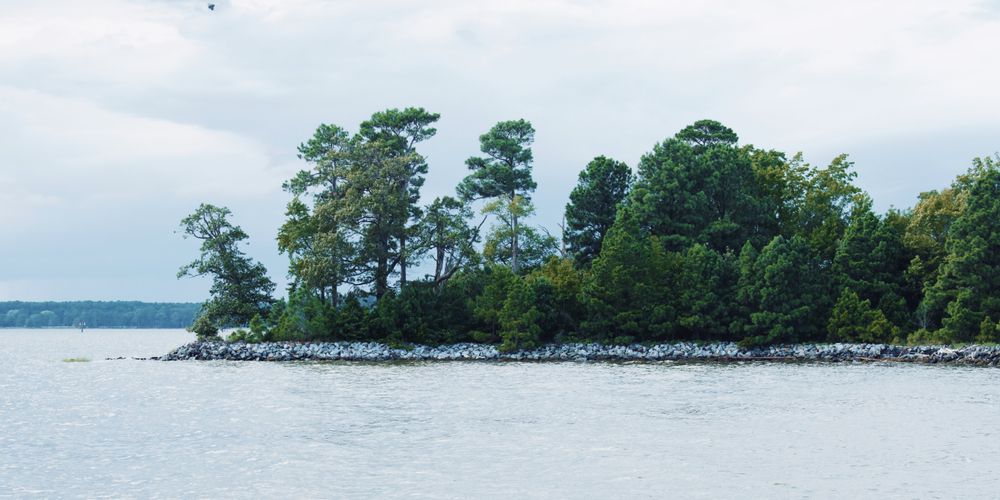 Delaware Chesapeake Bay Implementation Grant Program Guide | Ambrook