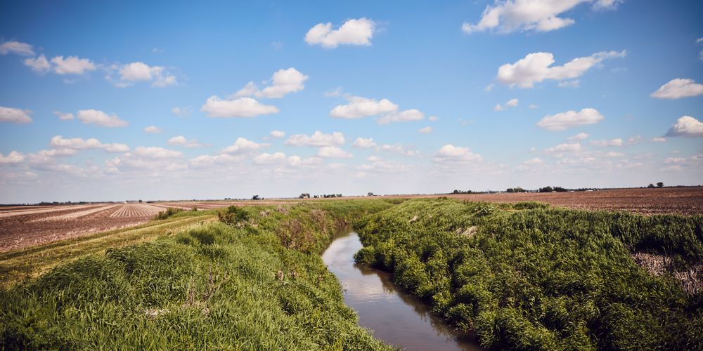 Conservation Stewardship Program (CSP) Guide - Ambrook