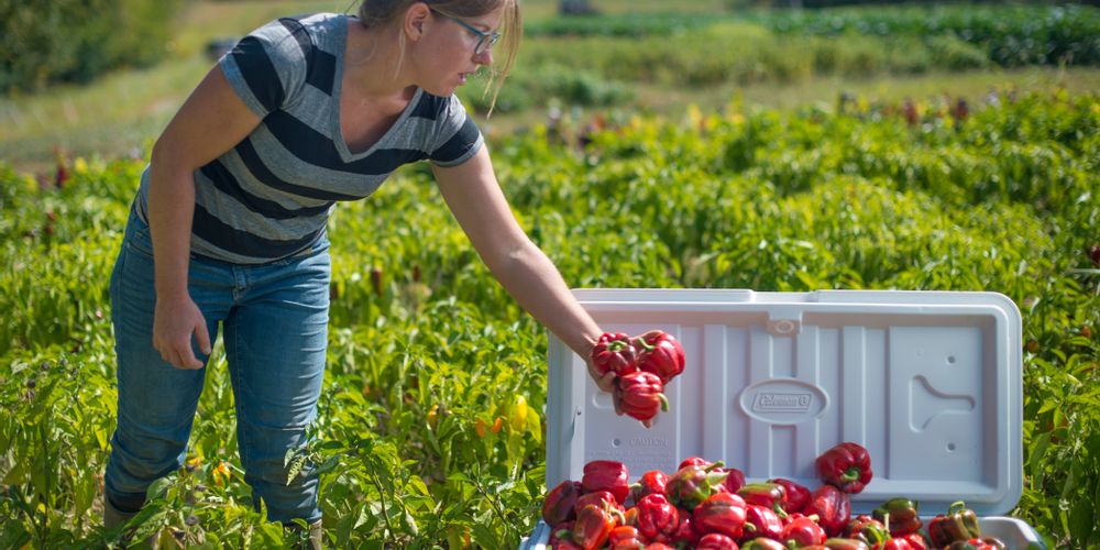 Microloan Programs Guide - Ambrook