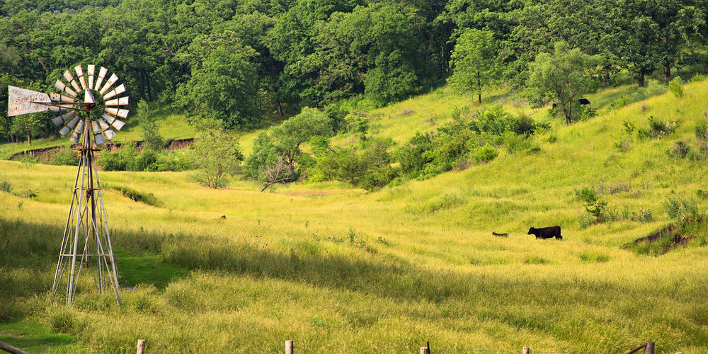 Pasture, Rangeland, Forage Pilot Insurance Program Guide - Ambrook