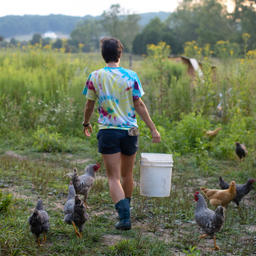 Colorado Boulder County Sustainable Food and Agricultural Grant Program Guide - Ambrook