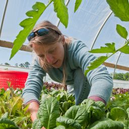 Organic Agriculture Research and Extension Initiative (OREI) Guide ...