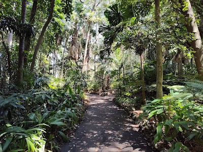 AusMyWay