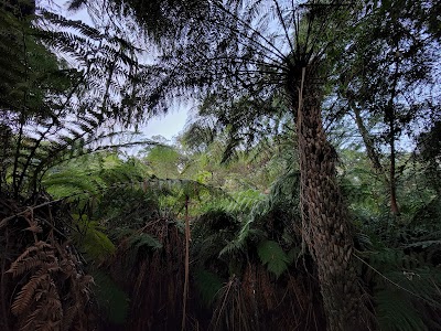 AusMyWay