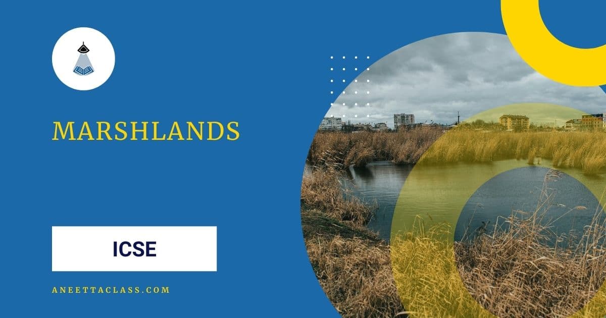 Marshlands Poem Summary and Analysis for ICSE Class 8 | Aneetta Class