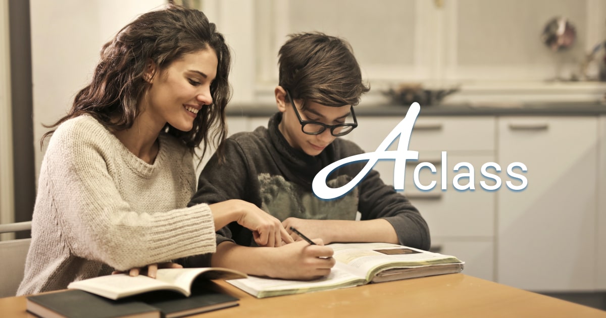 Class Eight ICSE English Literature Chapters | Aneetta Class