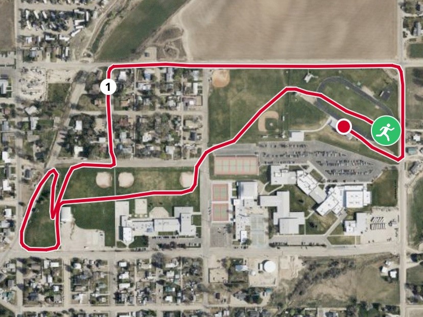 Track & Field, Cross Country Results, Statistics