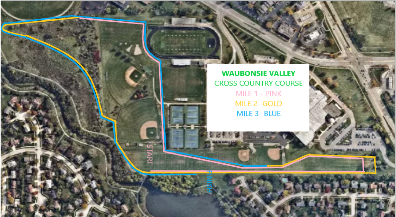 Track & Field, Cross Country Results, Statistics