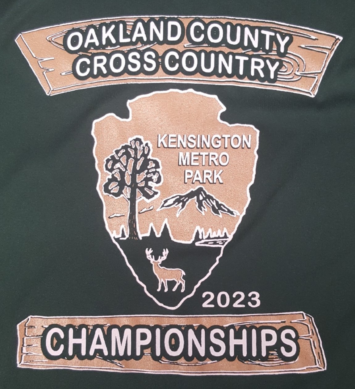 Track & Field, Cross Country Results, Statistics