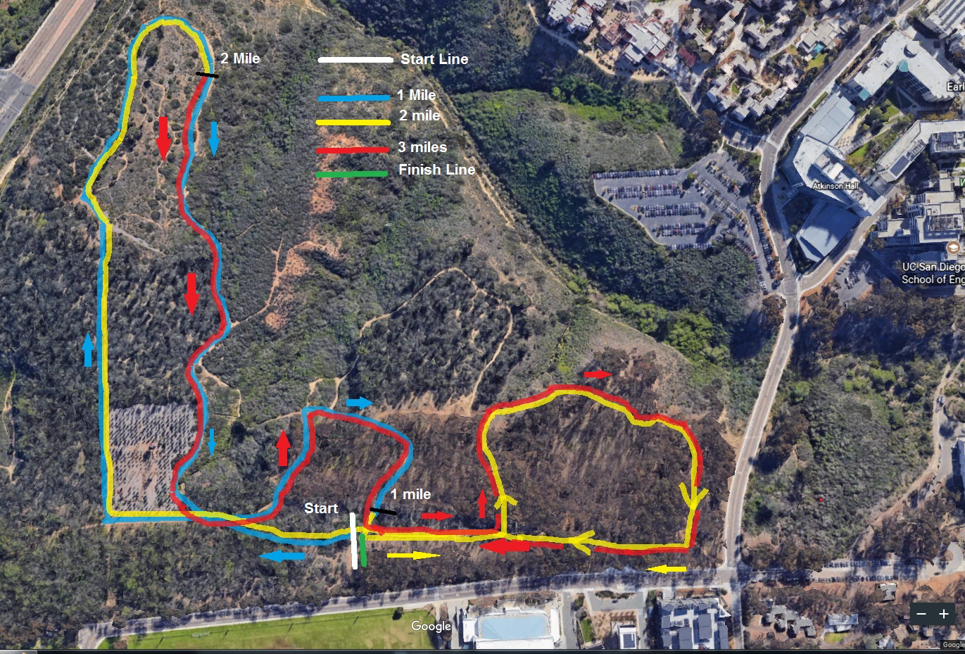 Track & Field, Cross Country Results, Statistics