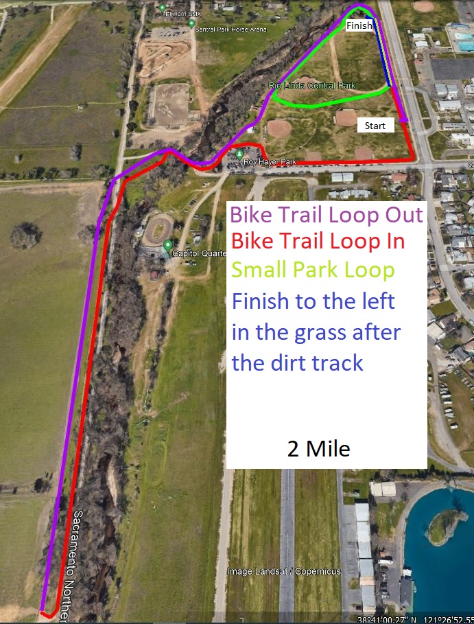 Track & Field, Cross Country Results, Statistics