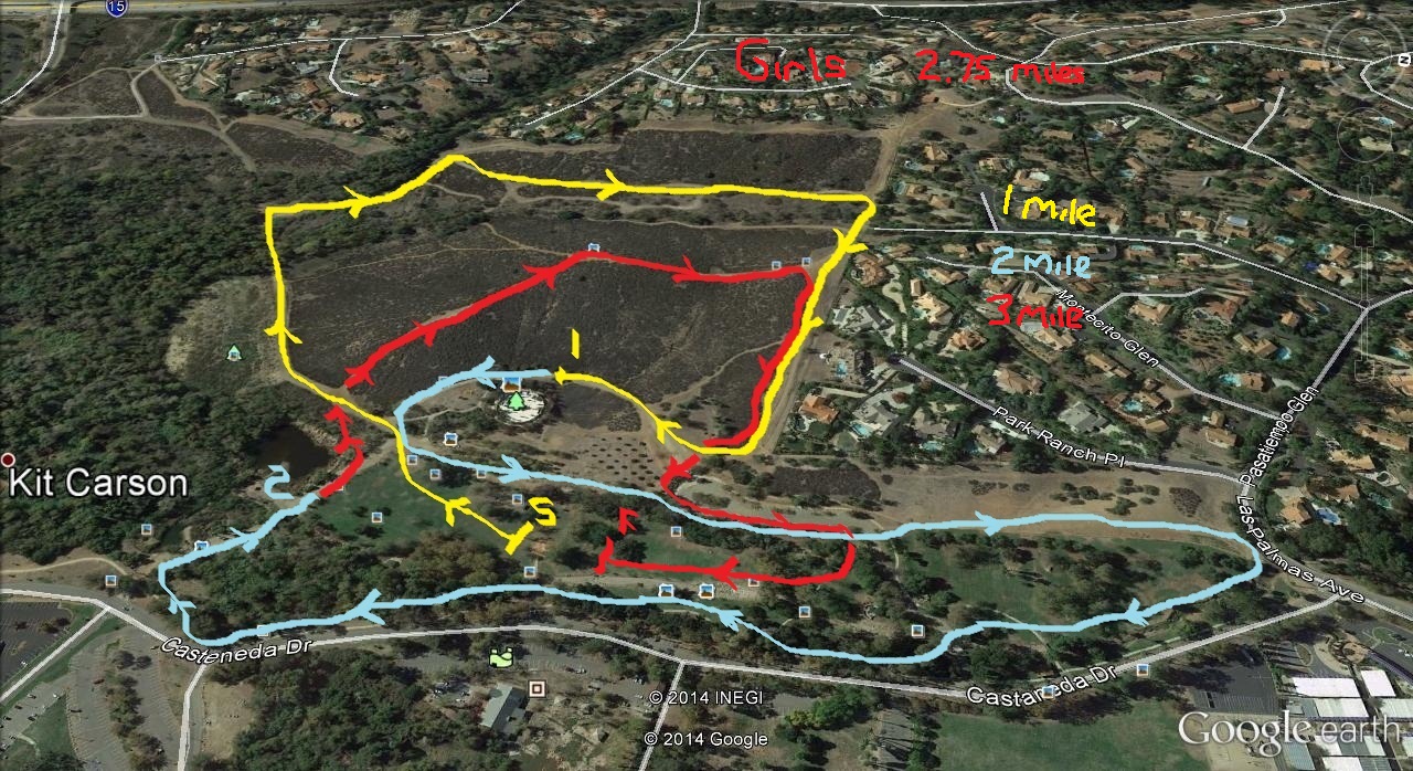 Track & Field, Cross Country Results, Statistics