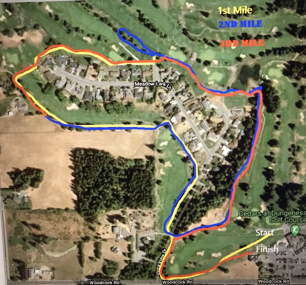 Track & Field, Cross Country Results, Statistics