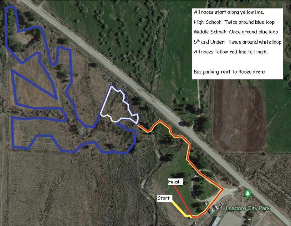 Track & Field, Cross Country Results, Statistics