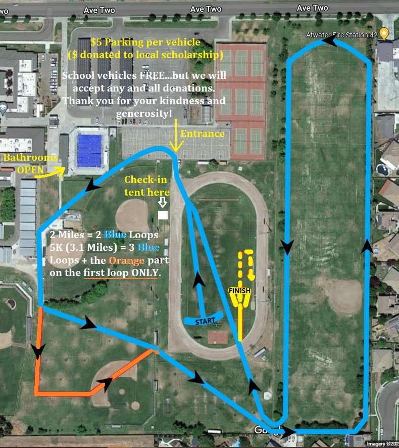 Track & Field, Cross Country Results, Statistics