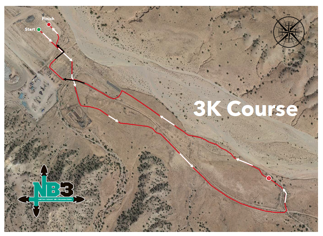 Track & Field, Cross Country Results, Statistics
