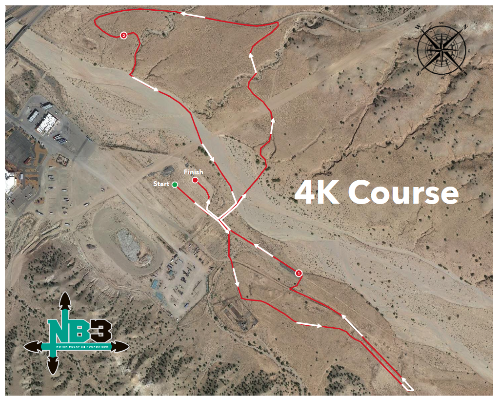 Track & Field, Cross Country Results, Statistics